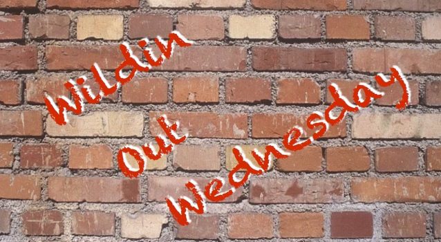 3/25/26 O&A NYC WILDIN OUT WEDNESDAY: Trump Gets Mystery Gift From Iran ...